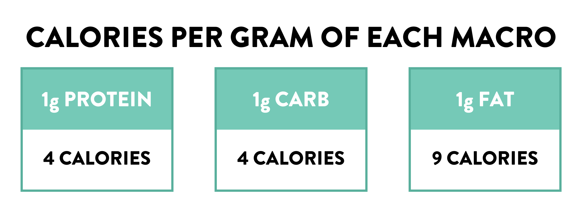 Should I Weigh Food Before Or After Cooking Working Against Gravity