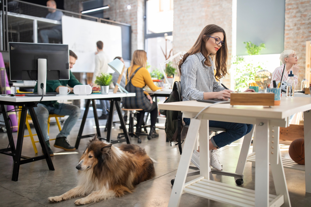 What is the Best Free Macro Tracking App - Working Against Gravity